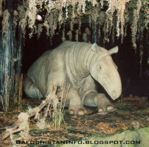 Baluchitherium | Balochistan Info