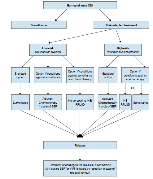 Testicular cancer : Diagnostic evaluation