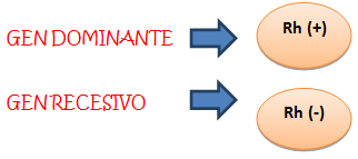Factor Rh/Du: Factor Rh