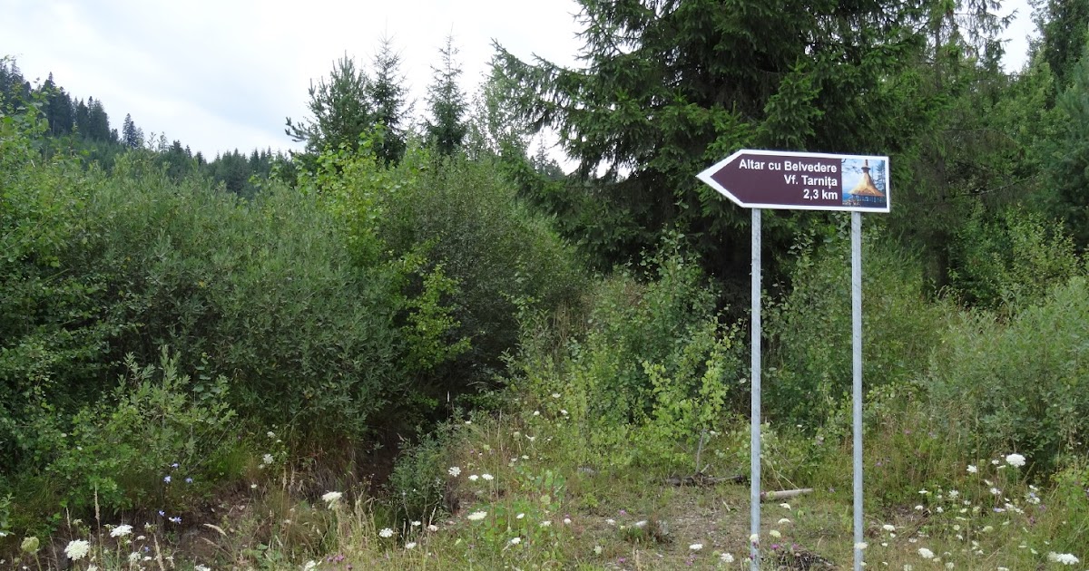 Apollo Blog: Toplita 03.08.2016