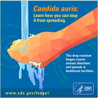 Avian Flu Diary: CDC Update: Candida Auris - August 2017