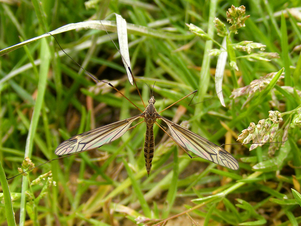 Days on the Claise: Beating the Bocage