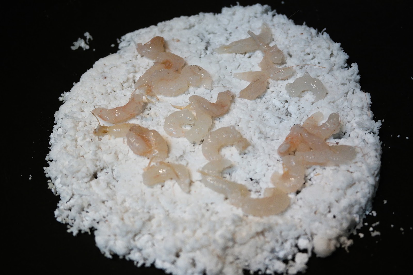 HomeKreation - Kitchen Corner: Lempeng Lemantak Udang