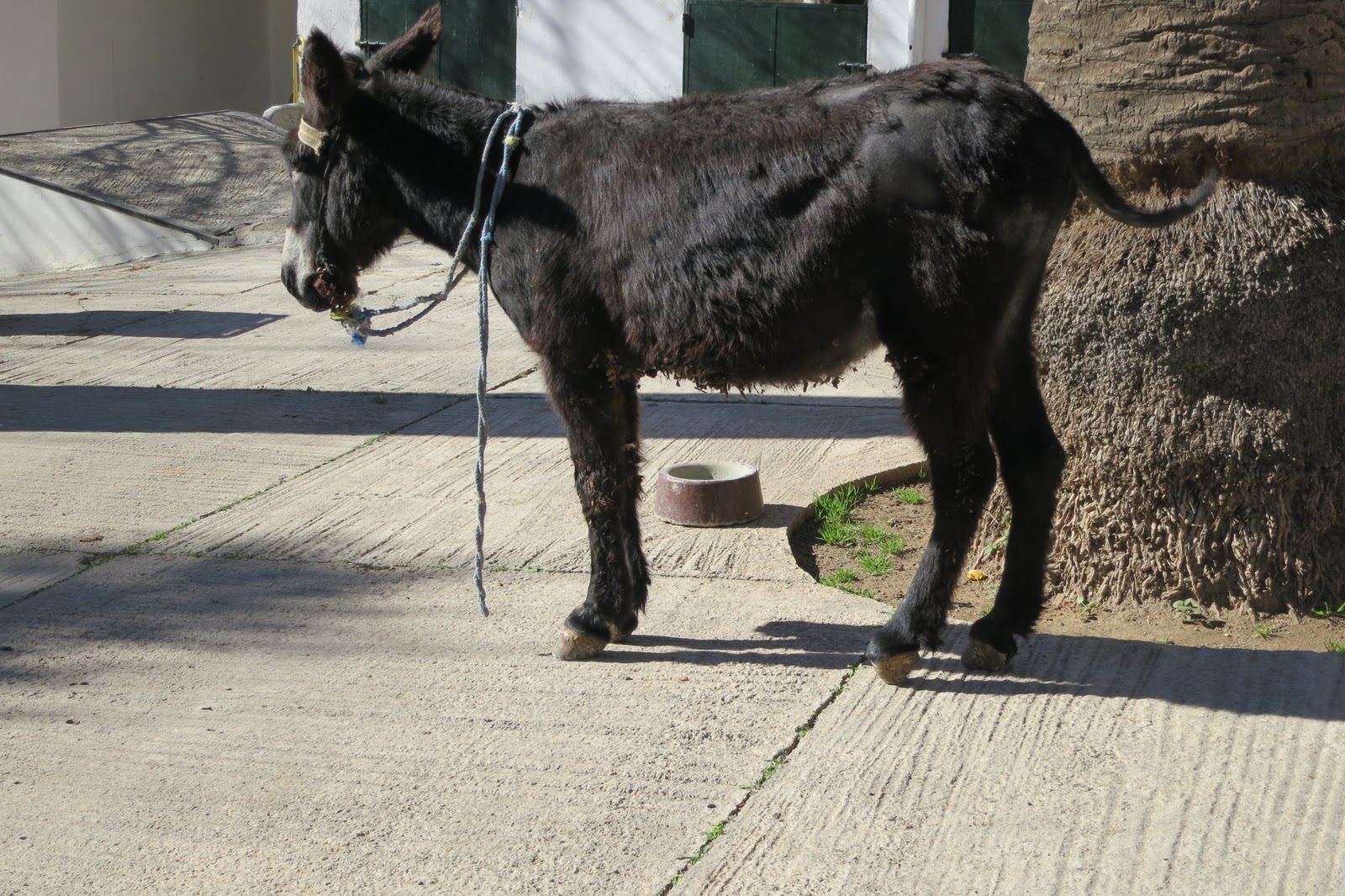 The American Fondouk, Fez, Morocco