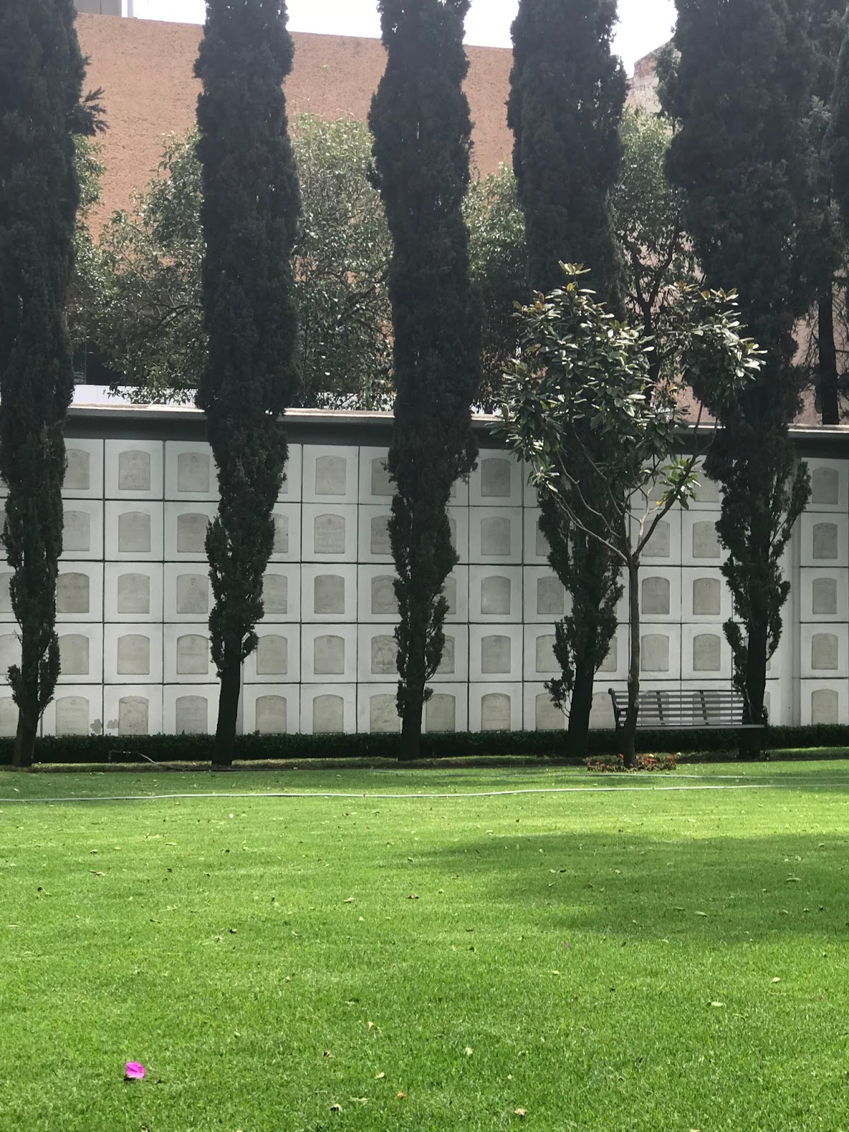 Jenny's Journal of Mexican Culture