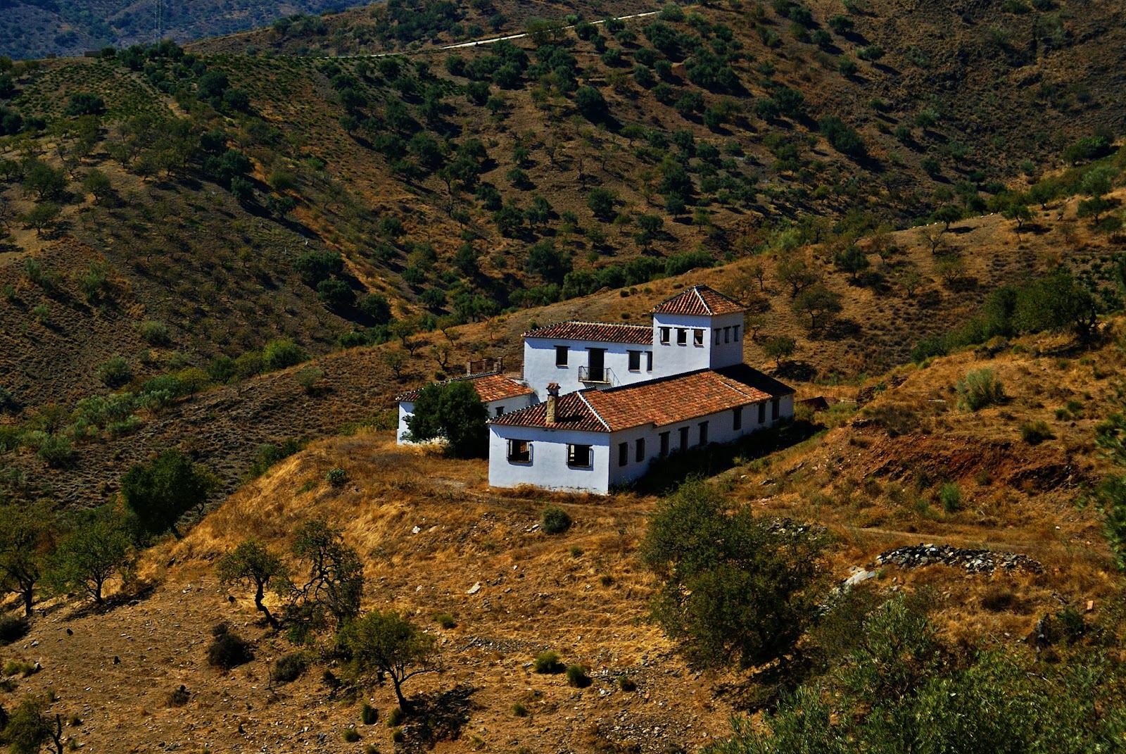 Fotografiando el Pasado: CAPELLANIA