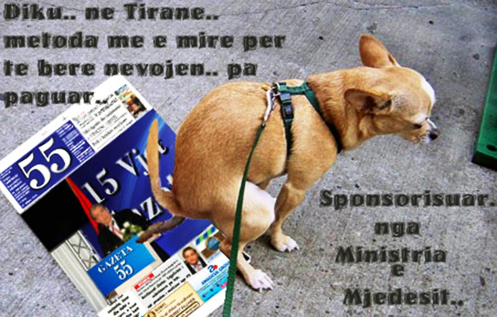 Imazhe Shqip: Ministria e Mjedisit