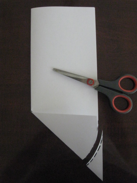 Tulle-ing Around - Bean In Love