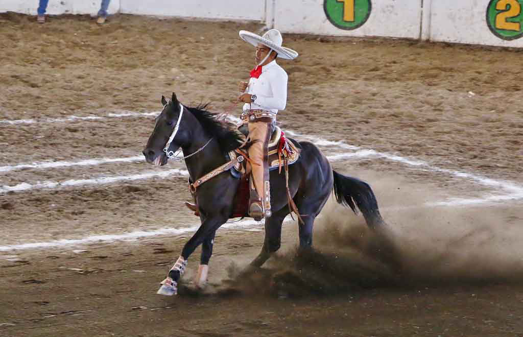El charro y la mexicanidad ~ Caballos del Sur, Tienda Ecuestre