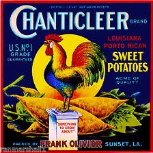 Nothing But Limericks: Sweet Potatoes for Thanksgiving - Limericks for Kids