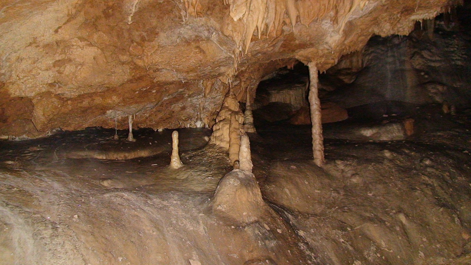 TUDOR PHOTO BLOG: Pestera Ghetarul de la Vartop - Muntii Apuseni ...