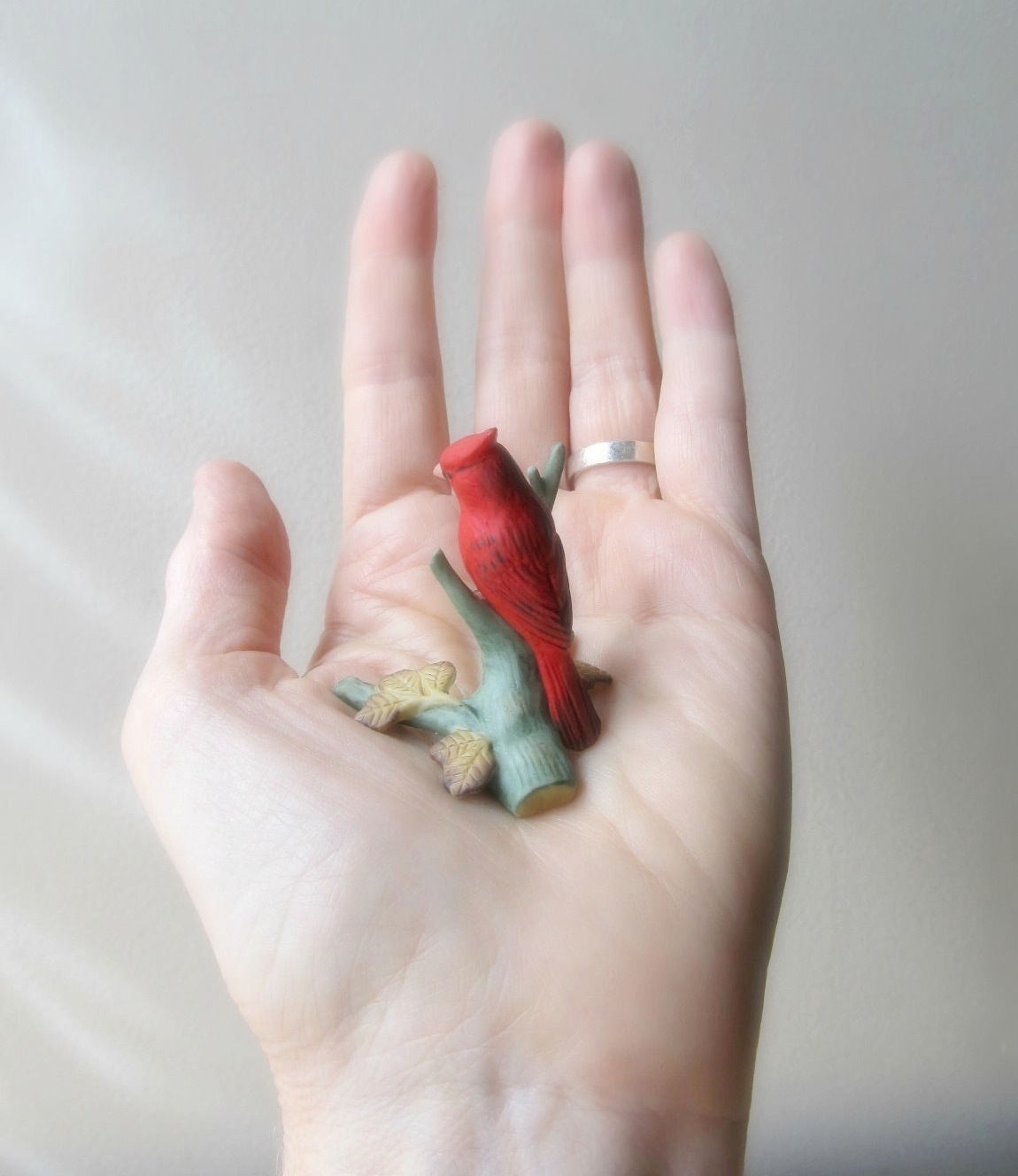 cookiecrumbs: Bird in Hand
