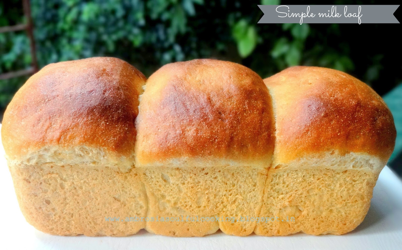 Simple Milk Loaf | Ambrosia