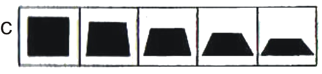 Arquitectura: Gradación.