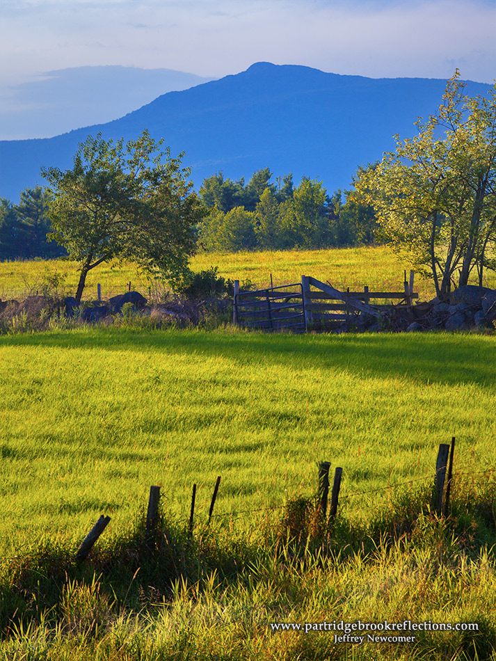 Getting it Right in the Digital Camera : New England Farm Photography