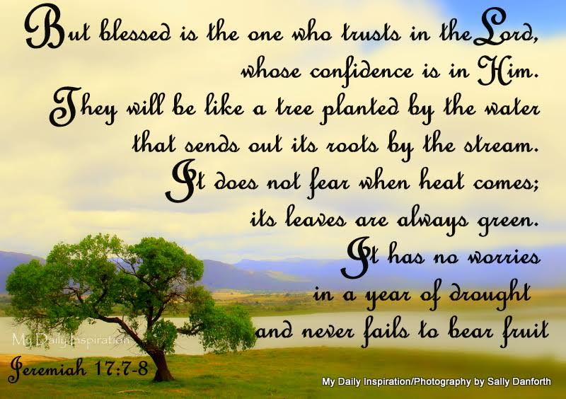 But blessed is the one who trusts in the Lord