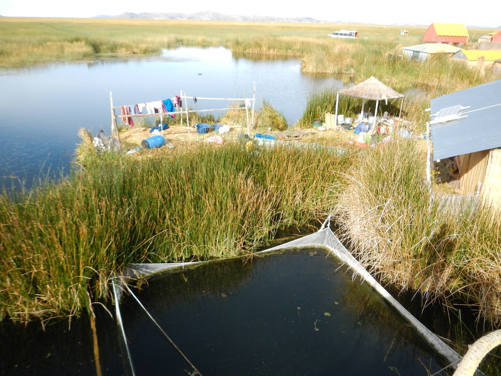 globetrotter-daniel & flo: Puno - 49 Inseln der URUS / Peru