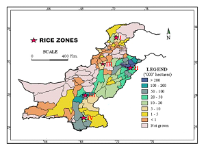 Rice growing zones - General Agriculture