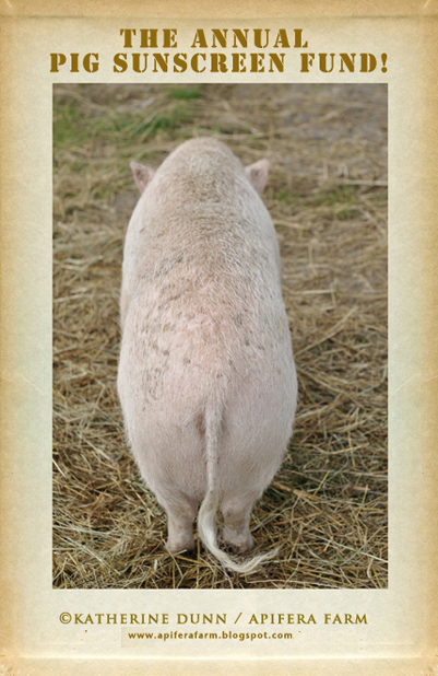 Apifera Farm: where animals and art collide. Home to Katherine Dunn ...