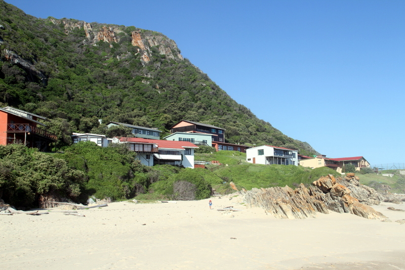 Under our own olive tree: Oubos