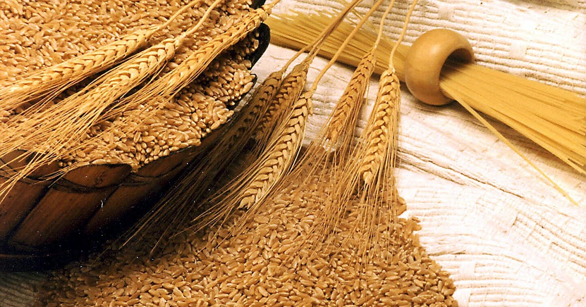 Ce trebuie sa stiti despre grau - reteta de grau incoltit