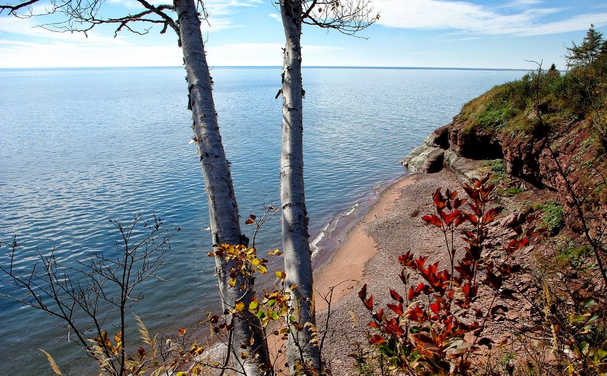Automnes du Québec: Sable rose