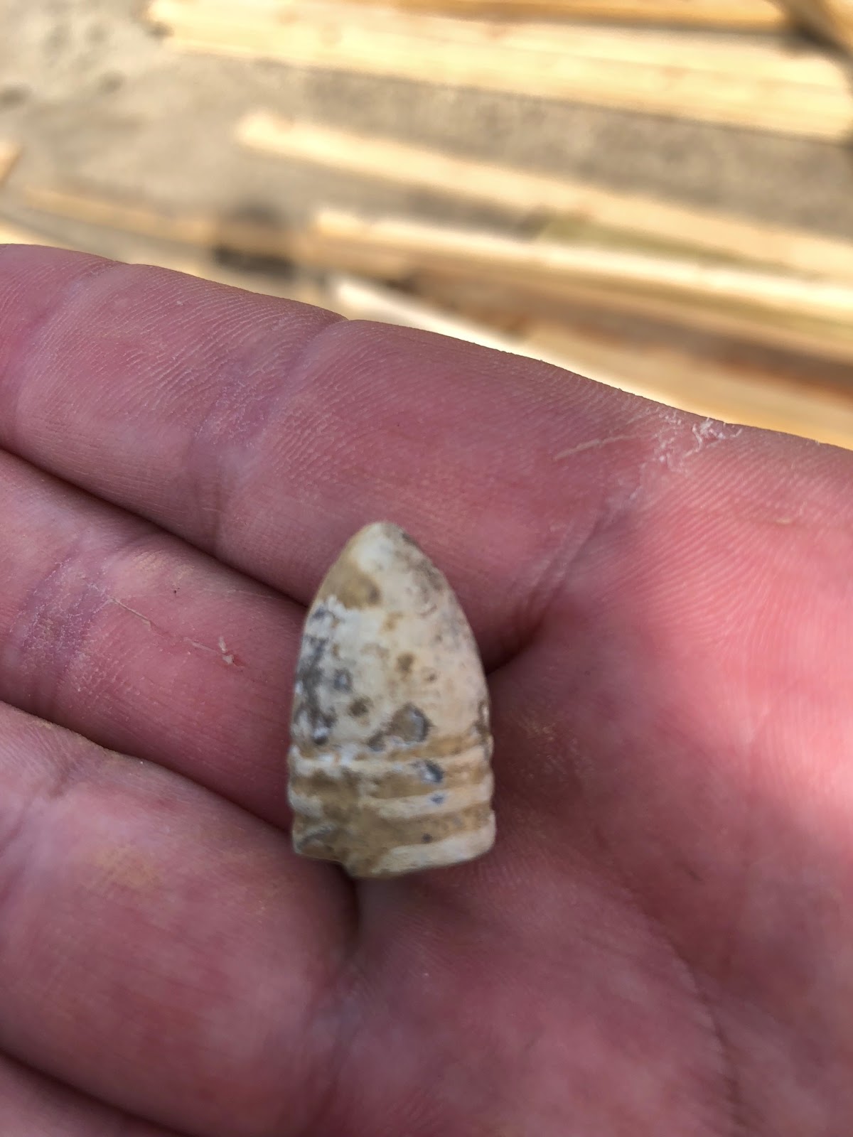 The Civil War Picket: 2018