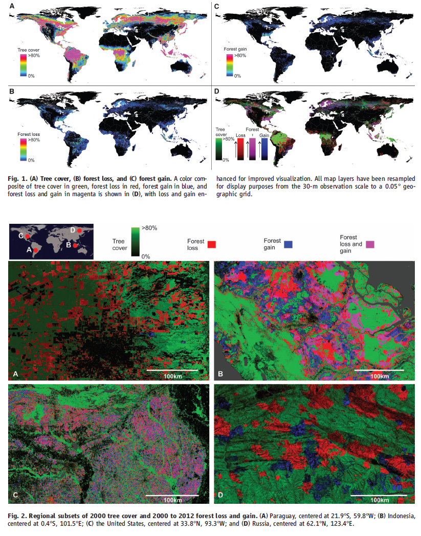 Hyunho's Memoranda: Forest Change in High Resolution Interactive Global Map