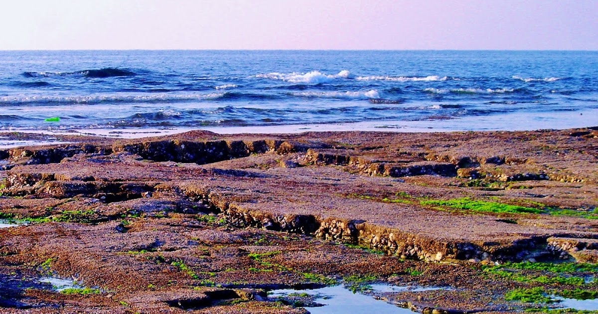 From me who live in Sasebo : The landscape of the beach