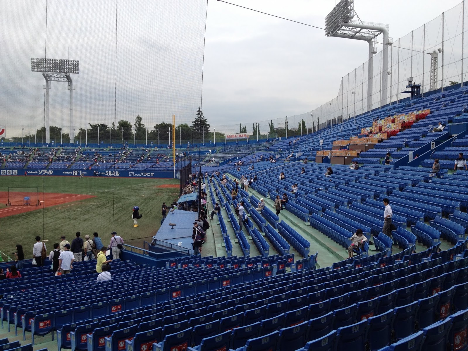 Chaos and Kanji: Baseball in Japan: Yakult Swallows and Meiji Jingu Stadium