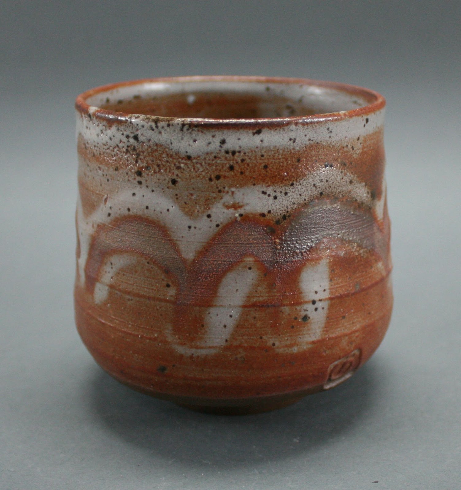 Ichthyosaur Was An Aquatic Dinosaur