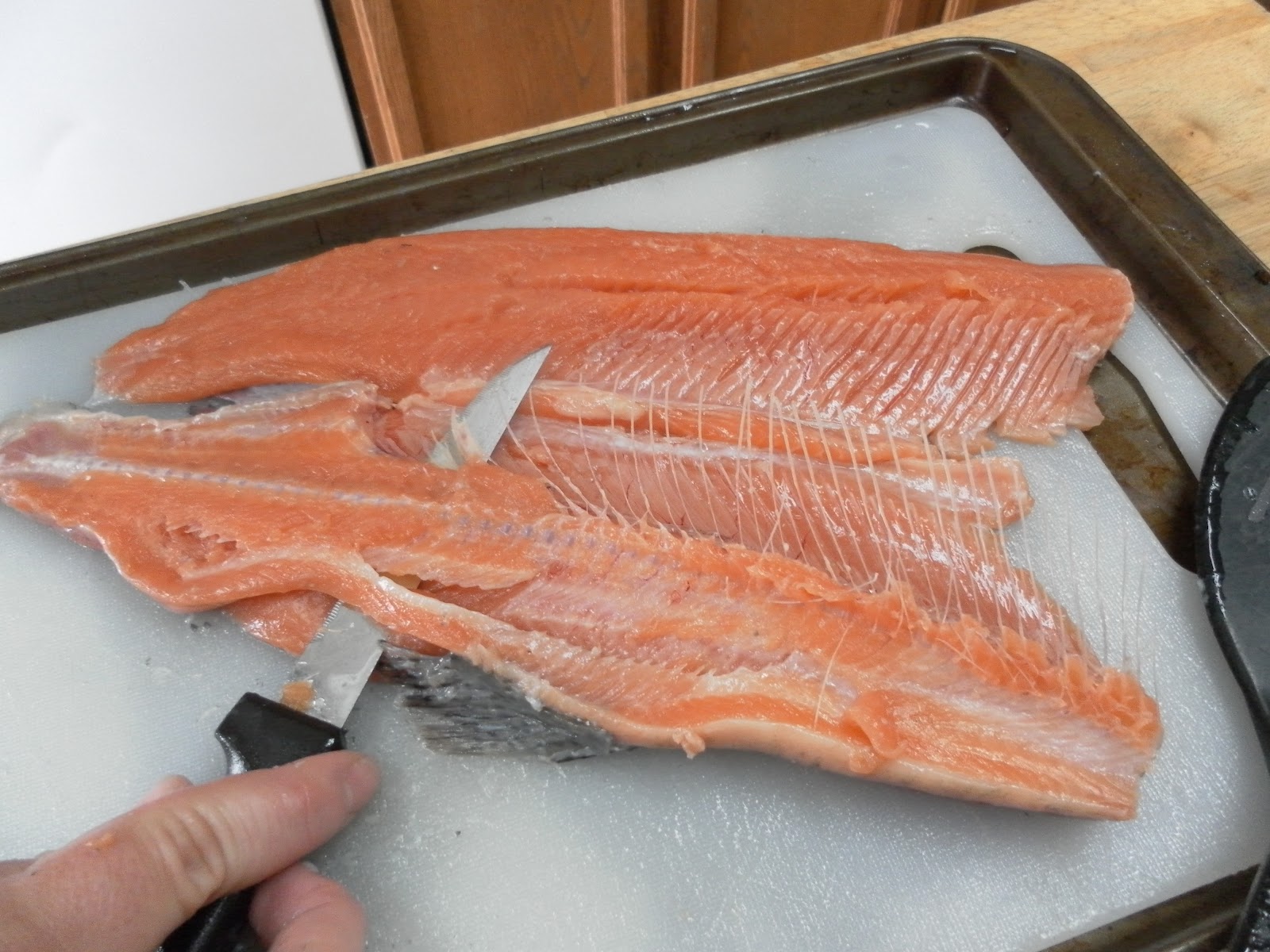 Nine for Dinner: How to Fillet a Fish