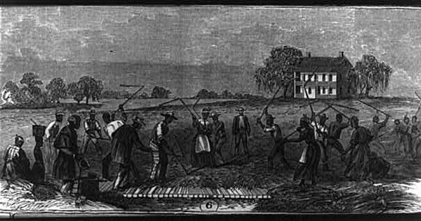 Revisiting Slavery and Capitalism