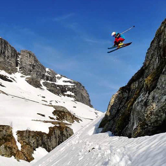 Racing Towards Retirement: Kickfurther Merchant of the Week: Panda Poles