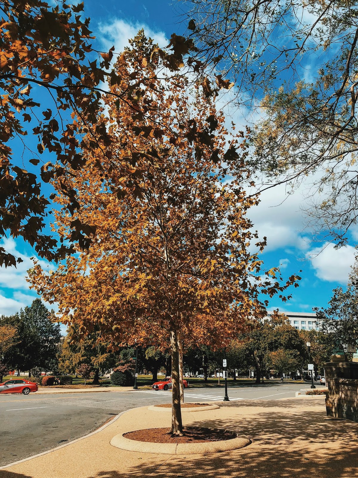 A parisian in America by Alpa R | Orlando Fashion Blogger: A Parisian ...