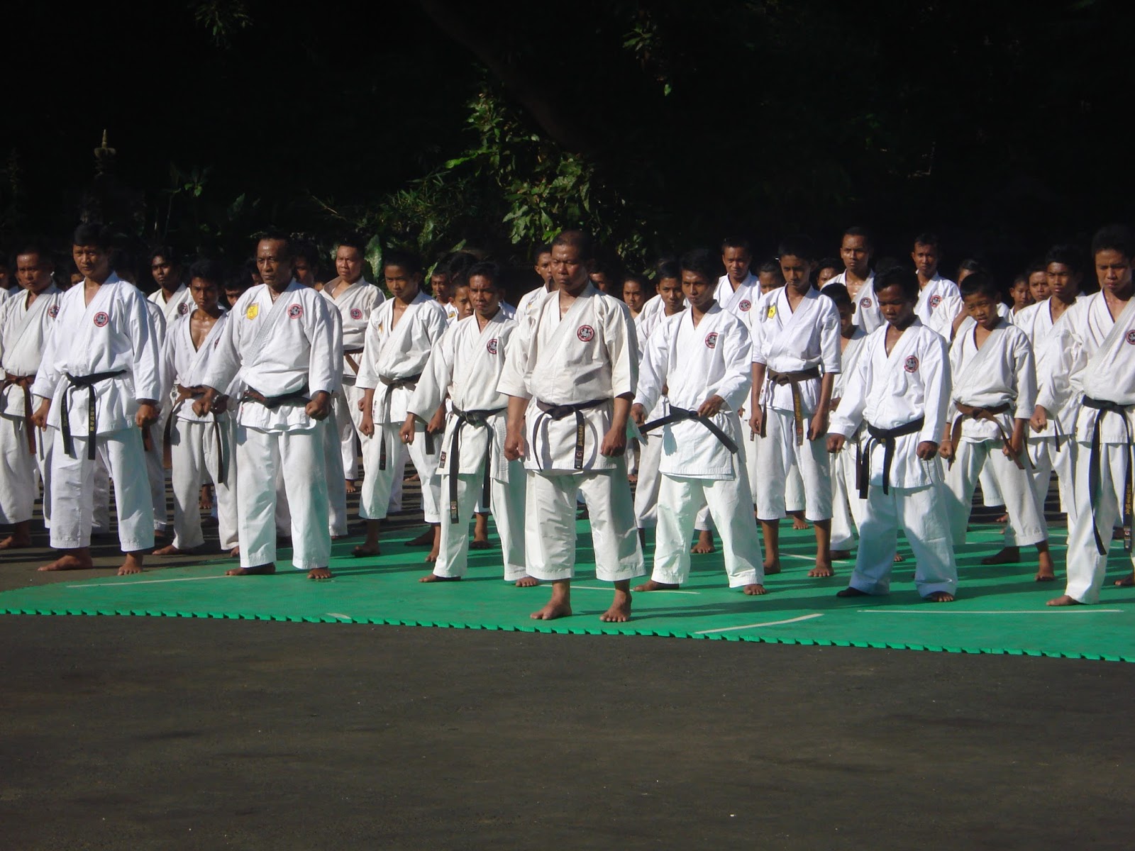 INKANAS SUMBAWA Collection ~ Tizar Inkanas