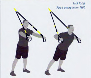 TRX EXERCISES: Upper Body Options