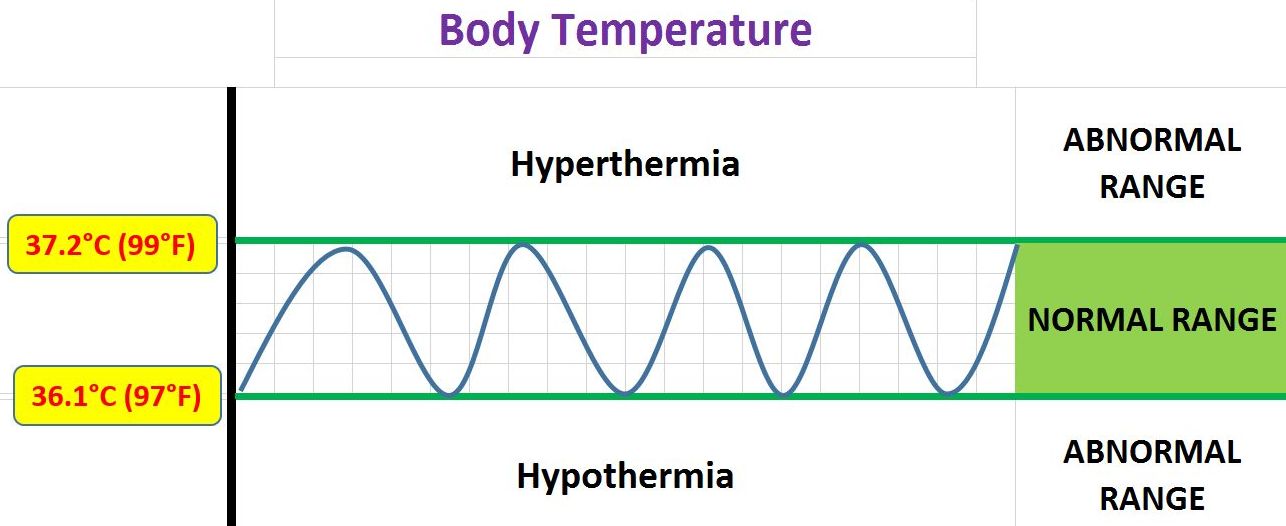 Fat Protein Carb's: Normal vs Abnormal