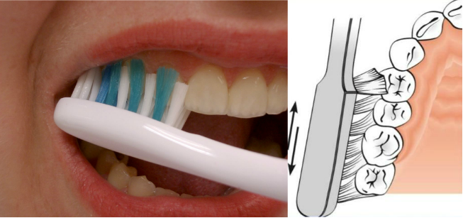 The Hygiene Department: The Guide to Proper Brushing