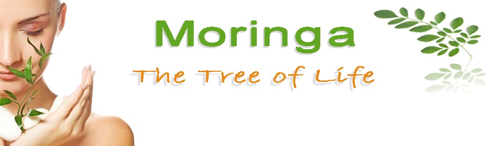 BodyBestDoctors: Moringa: The Tree of Life