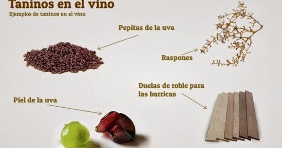 ¿QUÉ SON LOS TANINO?