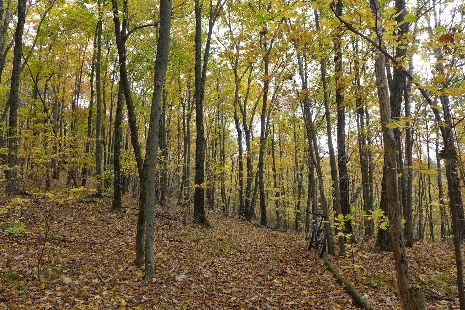Hill Junkie: Tour of the Pocumtuck Ridge
