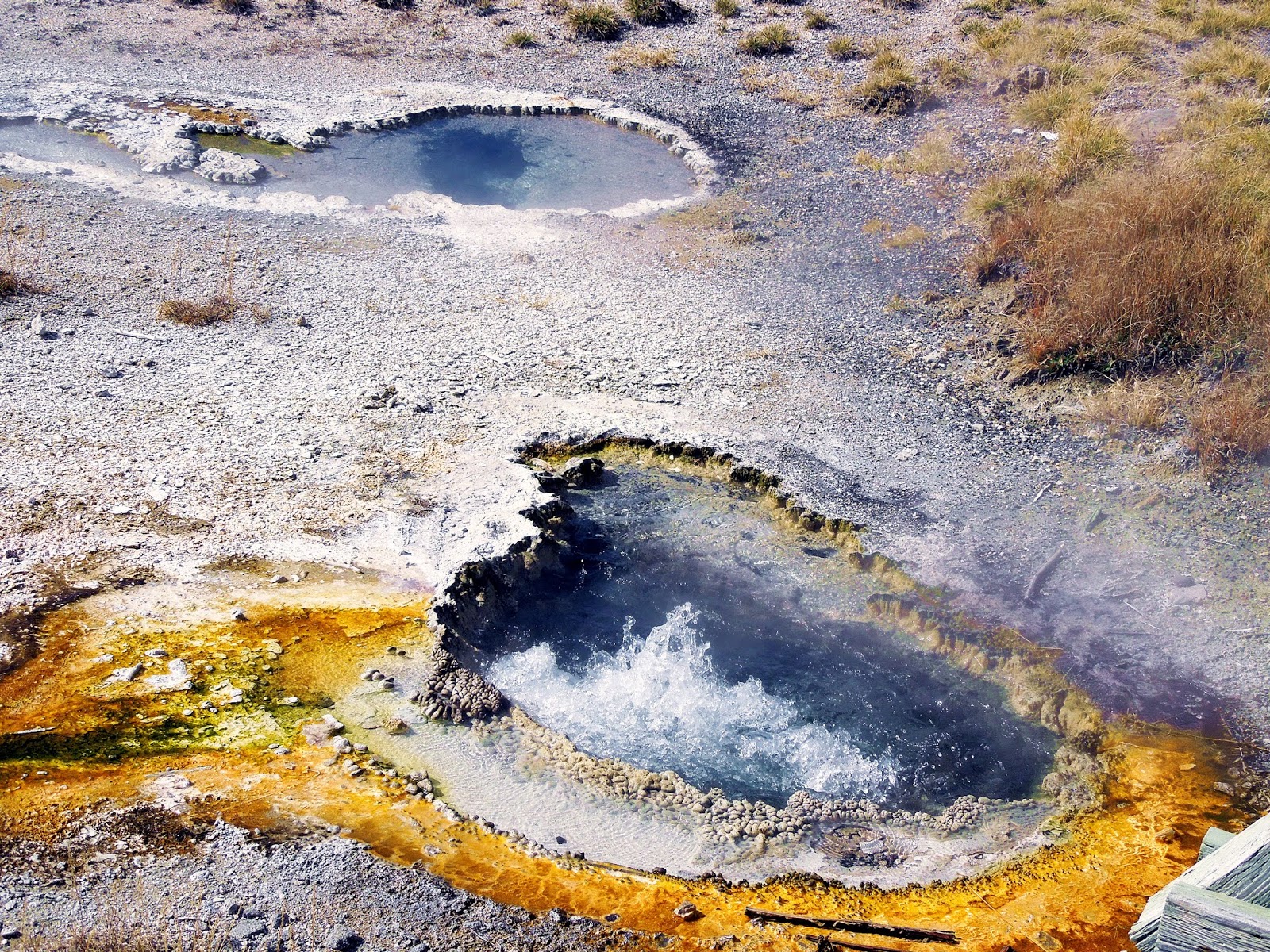 Focusing On Travel : Yellowstone: A Geyser Gazers Guide to the Upper ...
