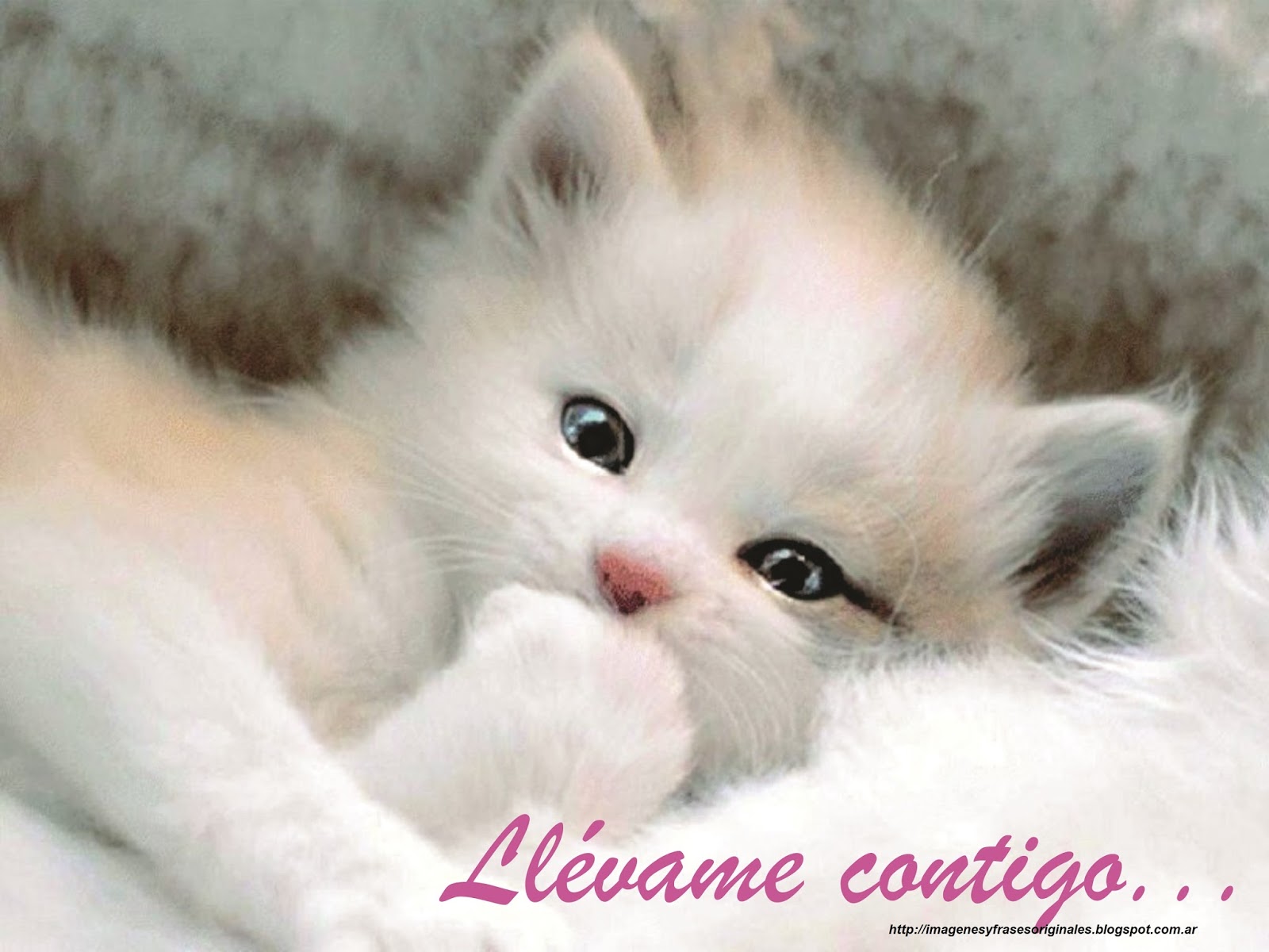 Imágenes y Frases para Ti.: Llévame contigo