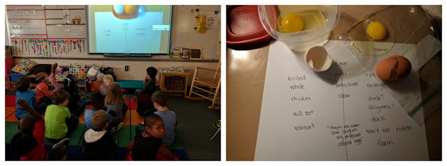 littlecubliteracy: Pinkies: A Lesson on Segregation