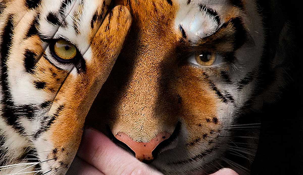 Las Redes de ARACNE Psicología: EL SIMBOLÍSMO DEL ANIMAL EN PSICOLOGÍA