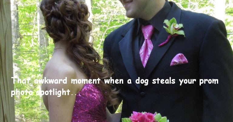 Crazy Stuff I Do: When A Dog Upstages Your Prom Photo