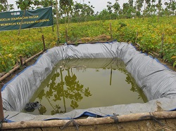 PENGETAHUAN LINGKUNGAN: Sistem Panen Hujan