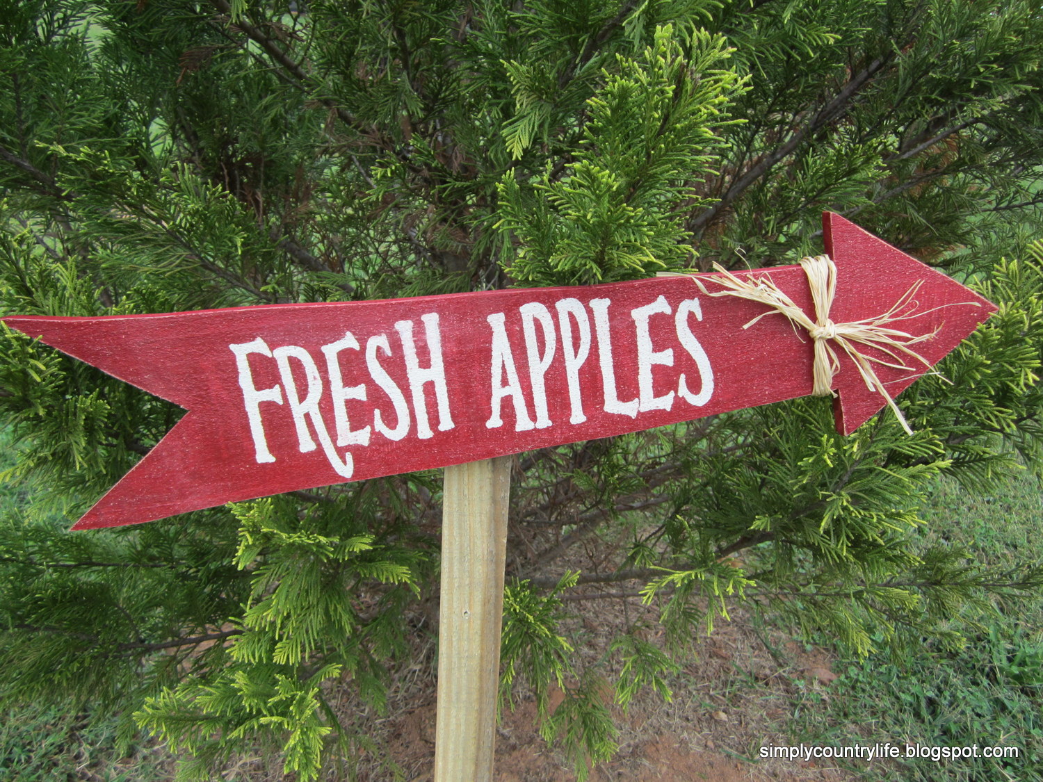 Simply Country Life: Scrap Wood turned into Fall Yard Signs