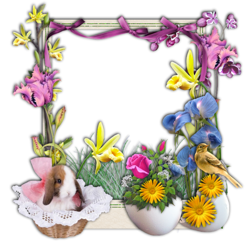 ForgetMeNot: Easter cluster frames